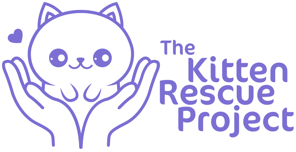 The Kitten Rescue Project